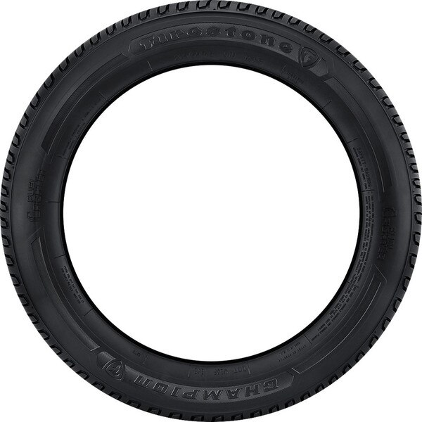 Buy Firestone Champion Fuel Fighter 225/60R17 99H BSW 600 A A Tires at ...
