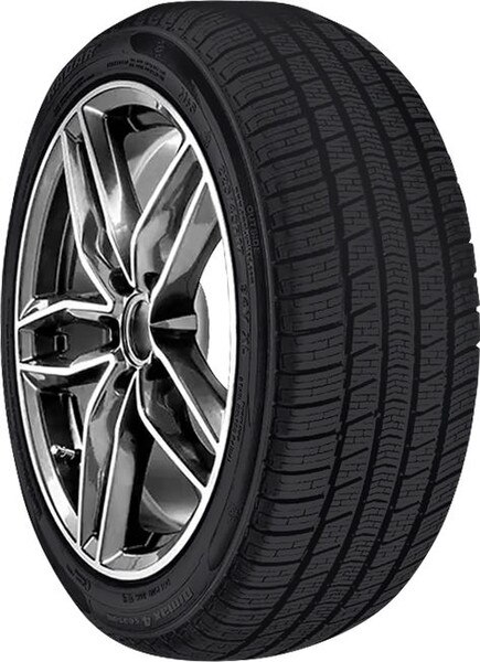 Buy Radar Dimax 4 Season 225/50R17 98W BSW Tires at Canada Custom Autoworks